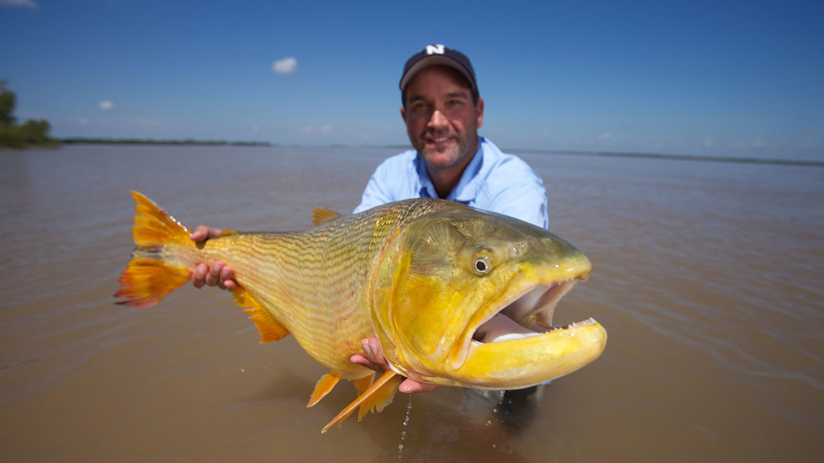 Monster Fish - National Geographic for everyone in everywhere