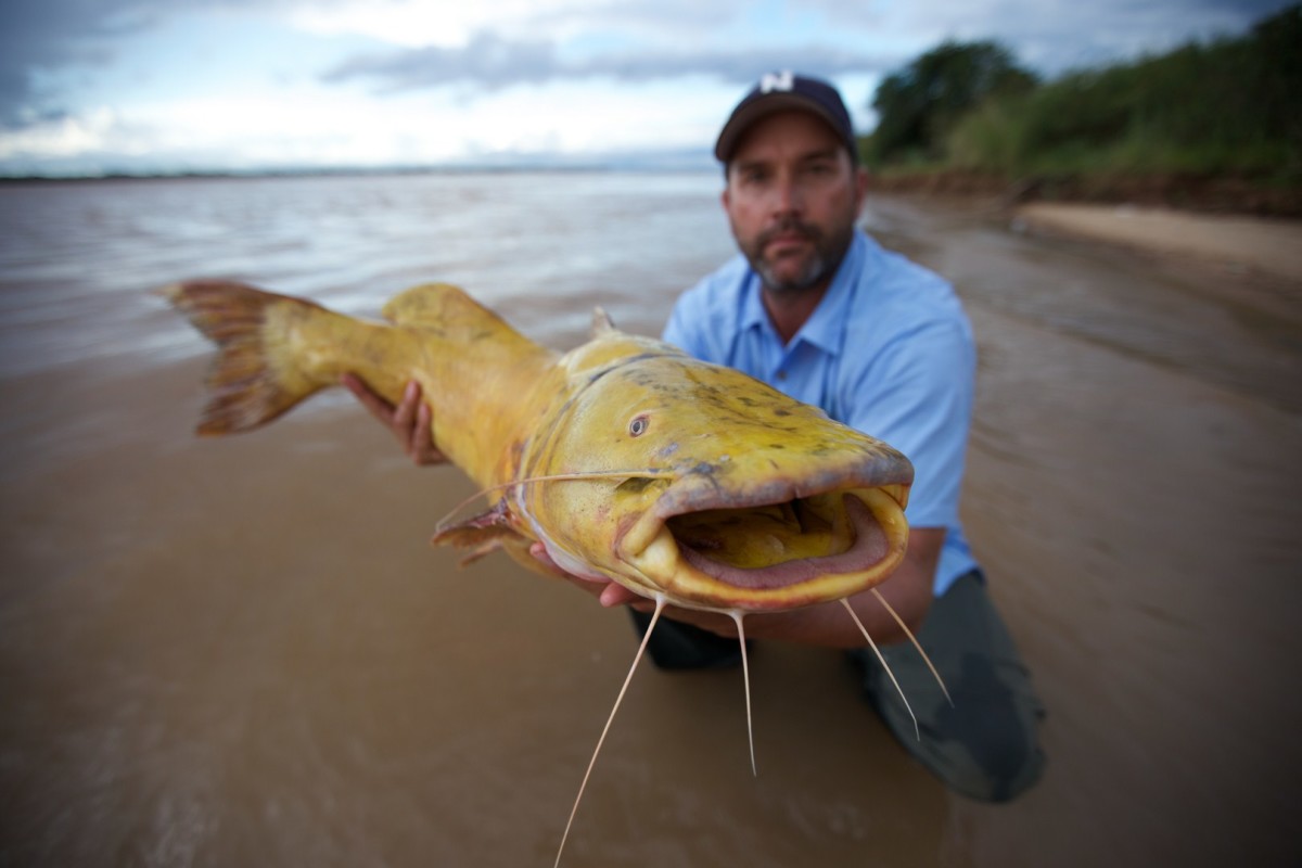 Monster Fish - National Geographic - For everyone in everywhere
