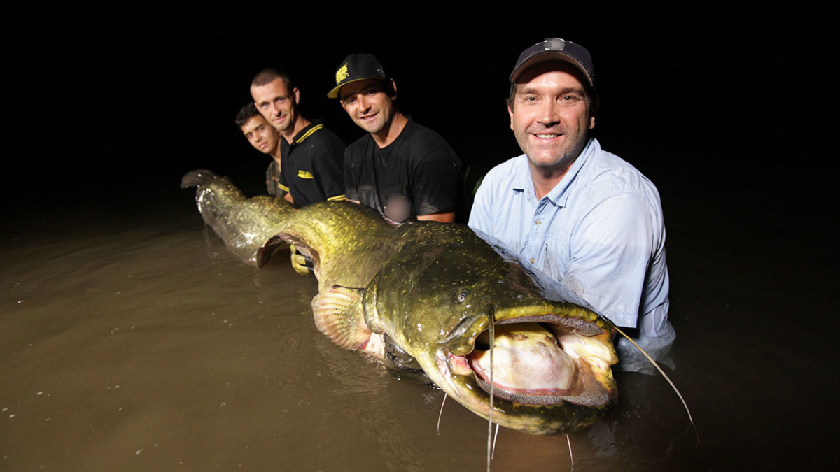 Monster Fish - National Geographic - For everyone in everywhere