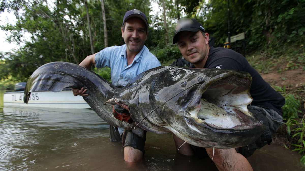 Monster Fish - National Geographic - For everyone in everywhere