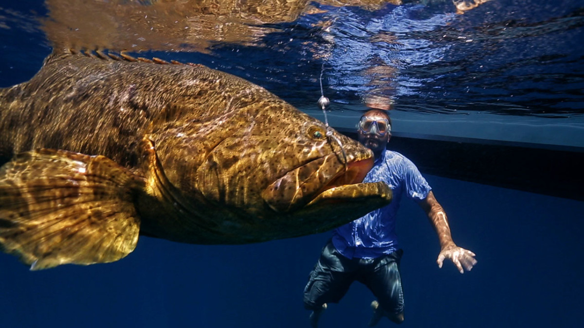 Monster Fish - National Geographic - For everyone in everywhere