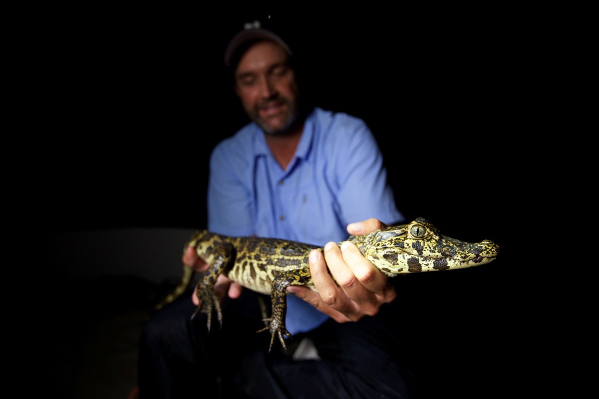 Monster Fish - National Geographic - For everyone in everywhere