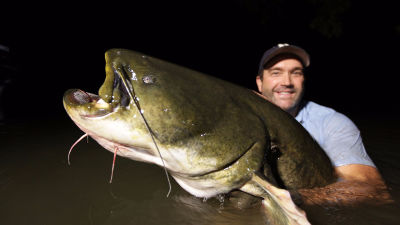 Monster Fish - National Geographic - For everyone in everywhere