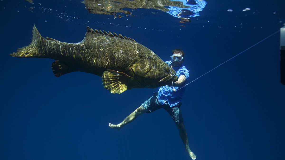 Monster Fish - National Geographic - For everyone in everywhere