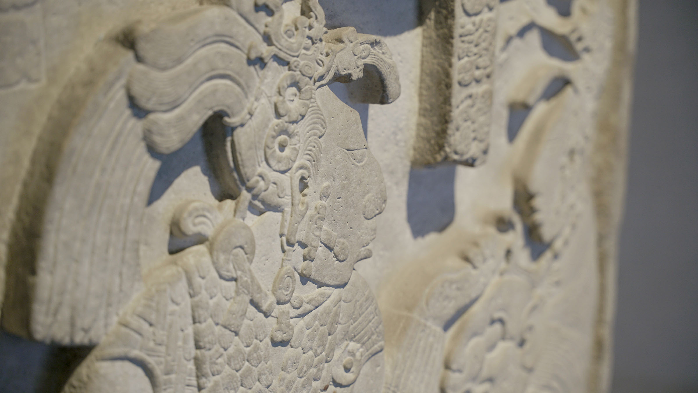 Rise And Fall Of The Maya - National Geographic - For everyone in ...