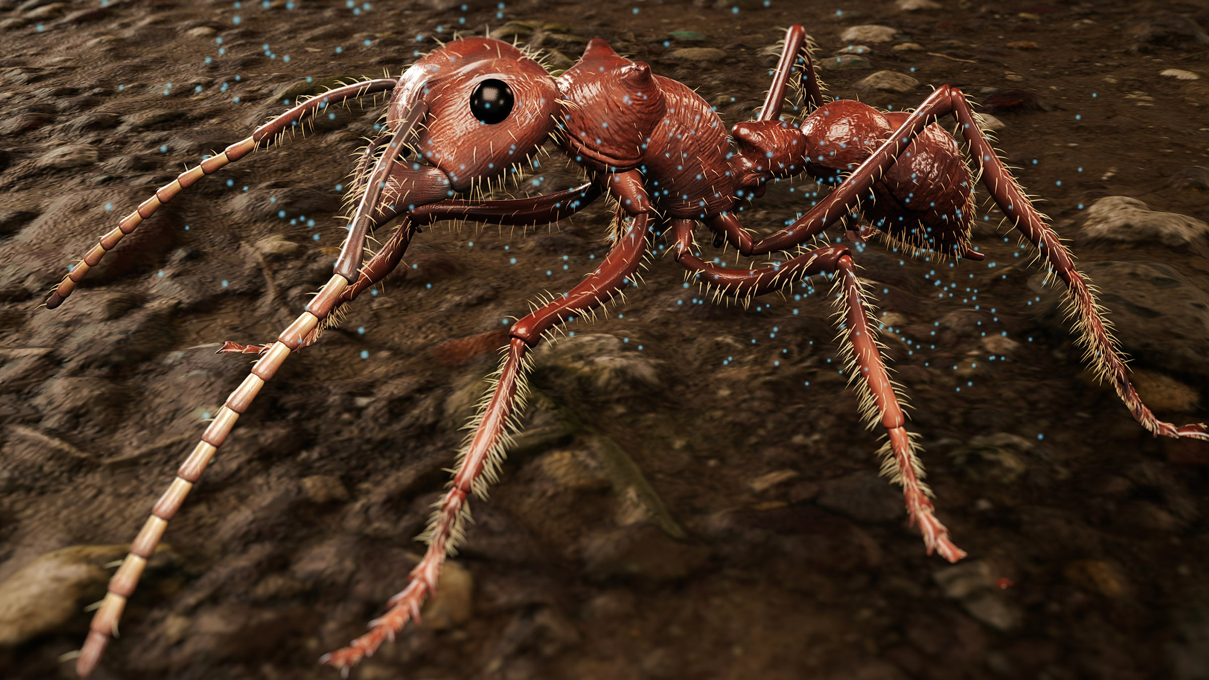 Zombie Animals - National Geographic for everyone in everywhere