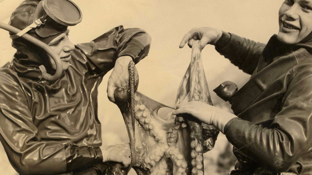 Man vs. Octopus - National Geographic for everyone in everywhere
