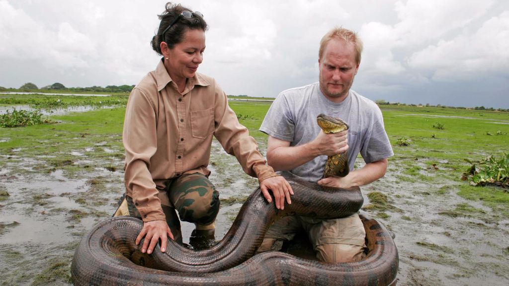 Man V. Animal - National Geographic for everyone in everywhere
