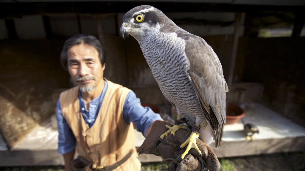 Wild Korea - National Geographic - De beste films en programma´s vind ...