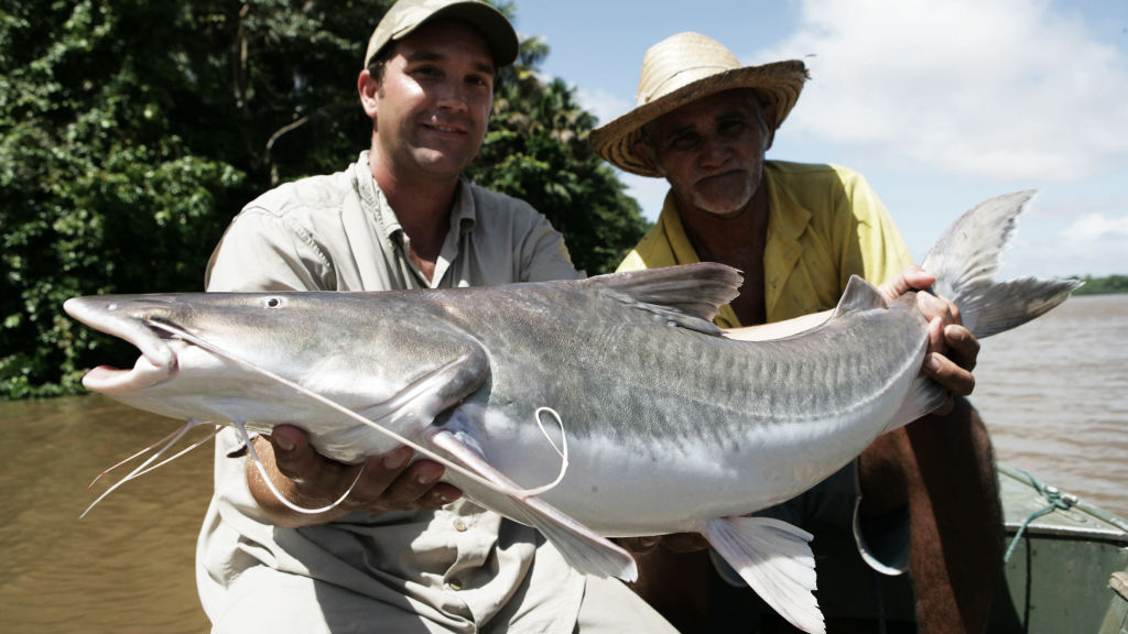 Monster Fish Of The Amazon - National Geographic - For everyone in ...