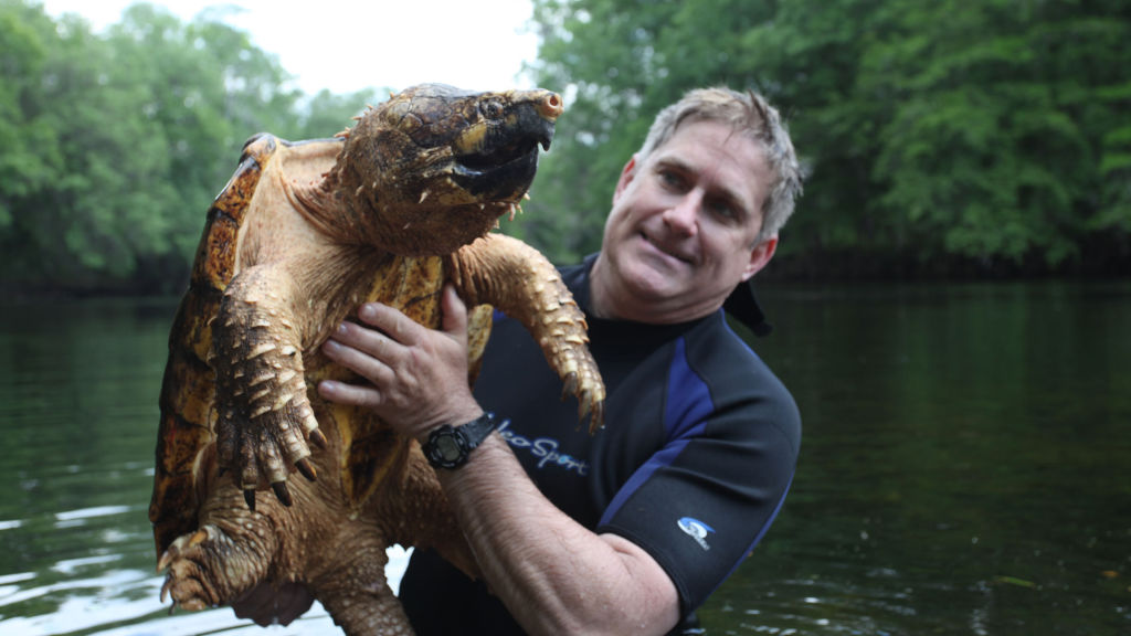 Dangerous Encounters: Backyard Monsters - National Geographic - Your ...