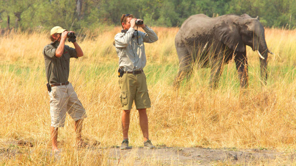 Safari Brothers - National Geographic for everyone in everywhere