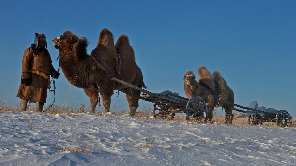 Amur: Asia's Amazon - National Geographic - For everyone in everywhere