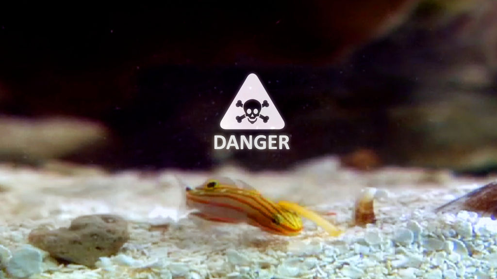 Badass Animals - National Geographic for everyone in everywhere