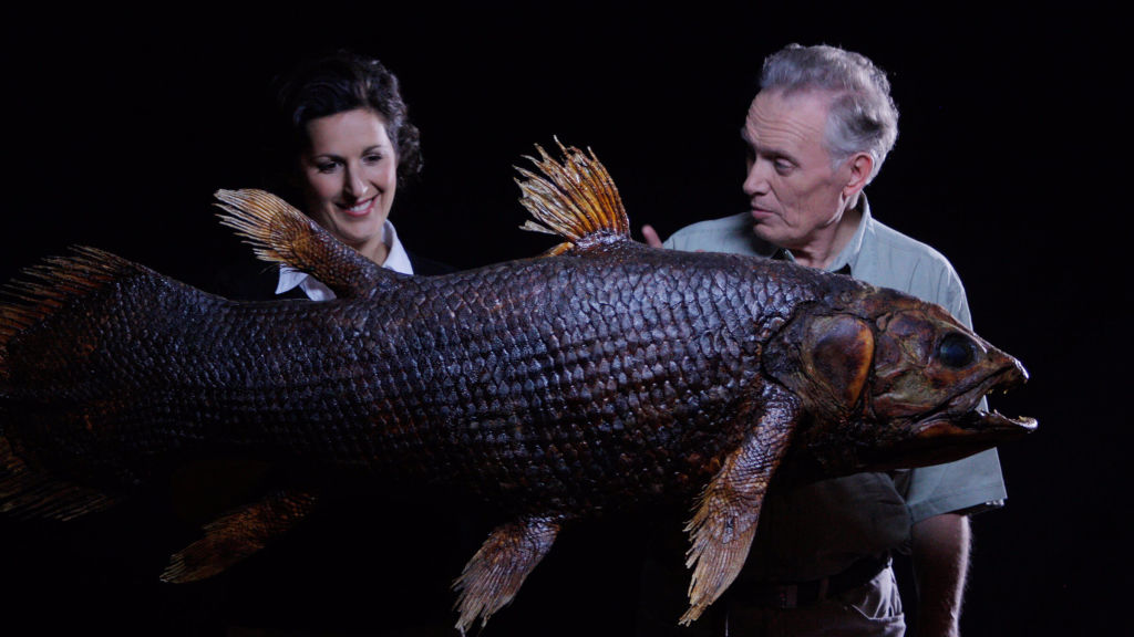 Dinofish - National Geographic - For everyone in everywhere