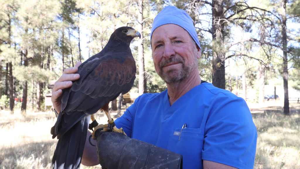 The Wild Life Of Dr. Ole - National Geographic - Your favourite shows