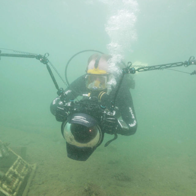 Buried Secrets of WWII - National Geographic - De beste films en ...