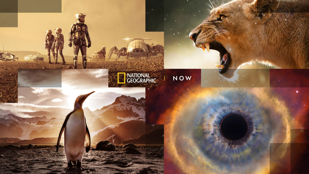 National Geographic Now
