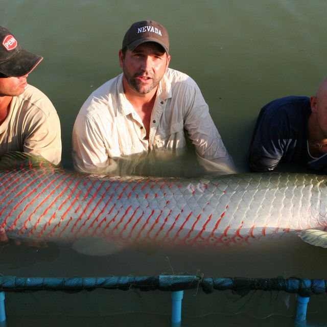 Monster Fish - National Geographic - For everyone in everywhere