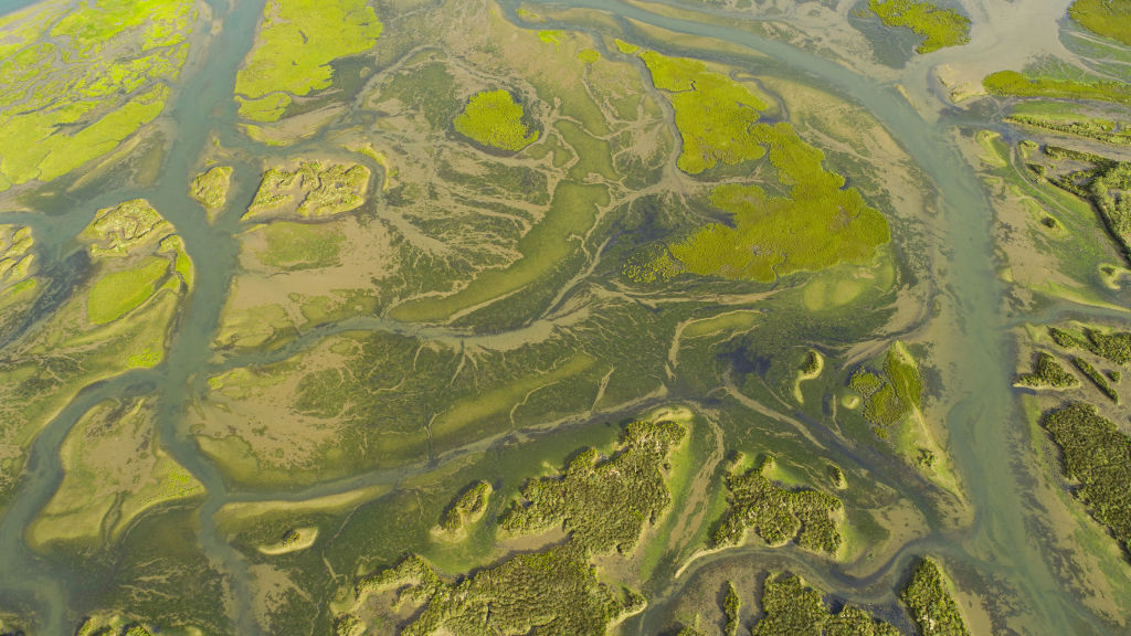 Natural Treasures - National Geographic - For everyone in everywhere