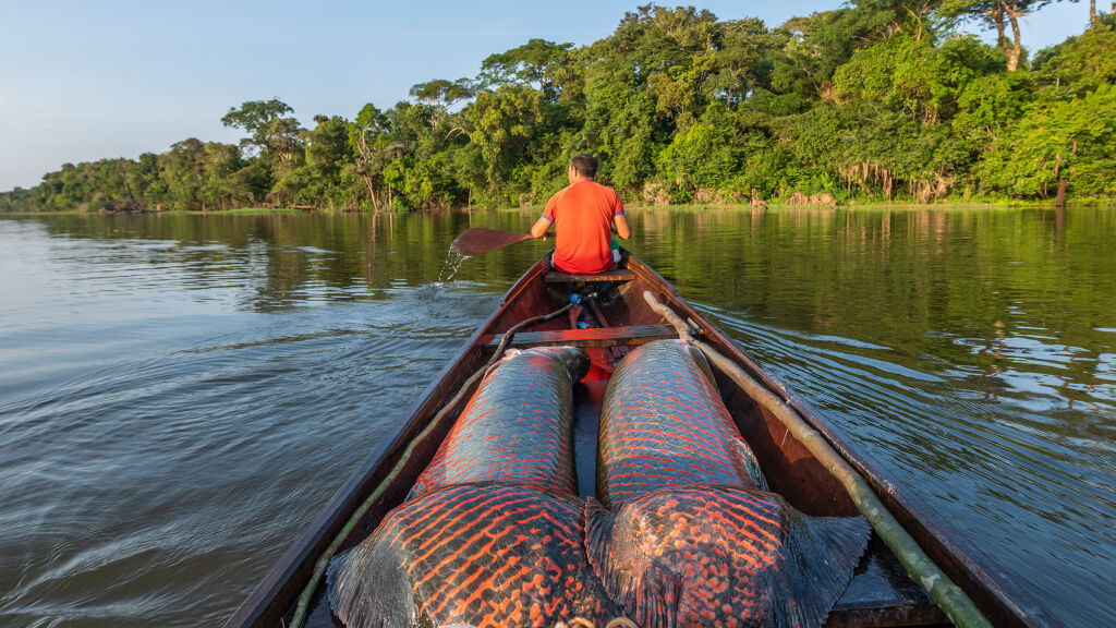 Expedition Amazon - National Geographic for everyone in everywhere