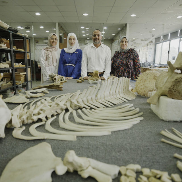 Lost Beasts: Unearthed - National Geographic for everyone in everywhere