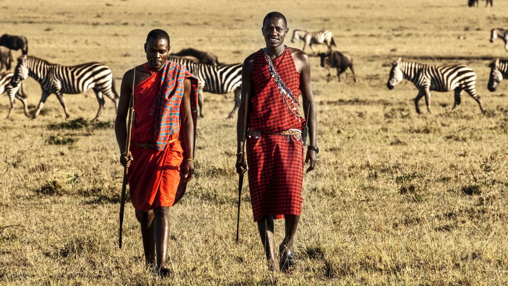 Tribe Vs Pride - National Geographic for everyone in everywhere