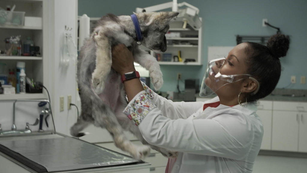 Pop Goes the Vet with Dr. Joya - National Geographic for everyone in ...