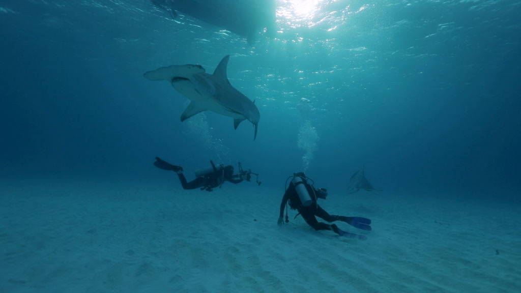 Monster Fish - National Geographic for everyone in everywhere