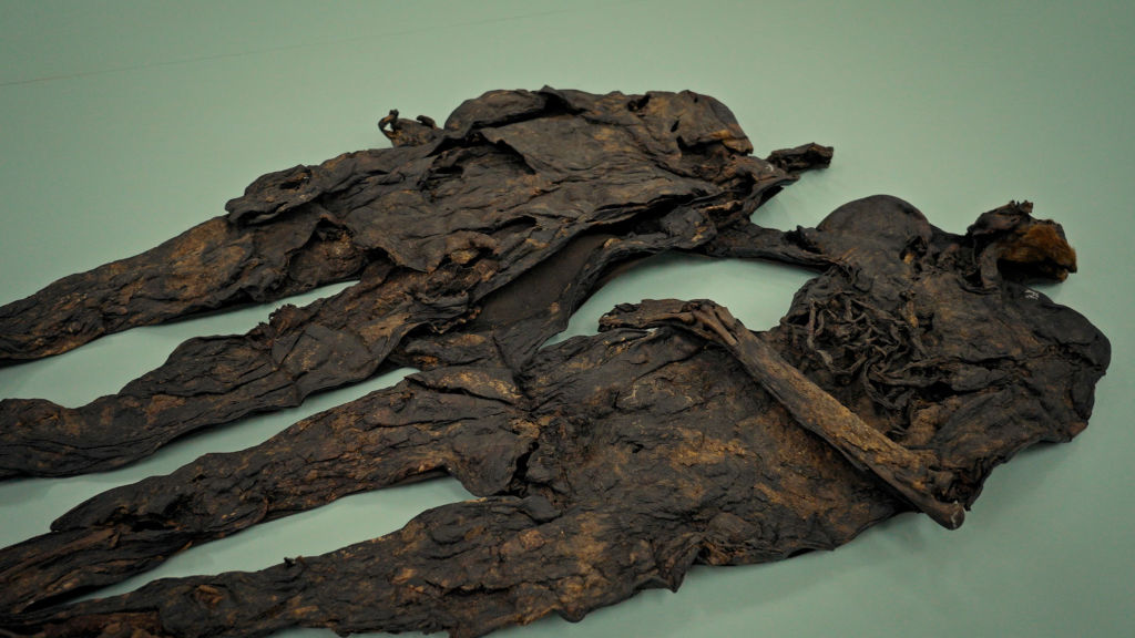 Ancient Bodies: Secrets Revealed - National Geographic for everyone in ...