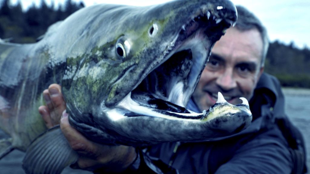 Last of the Giants: Wild Fish - National Geographic for everyone in ...